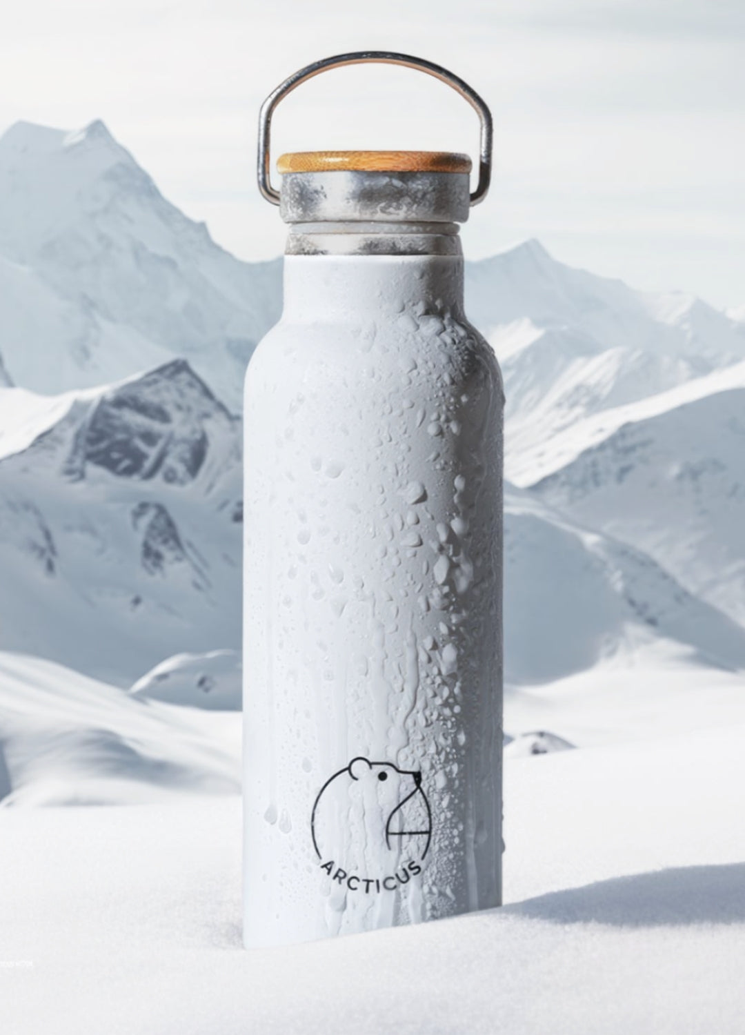 Reusable Arctic Bottle – Arcticus