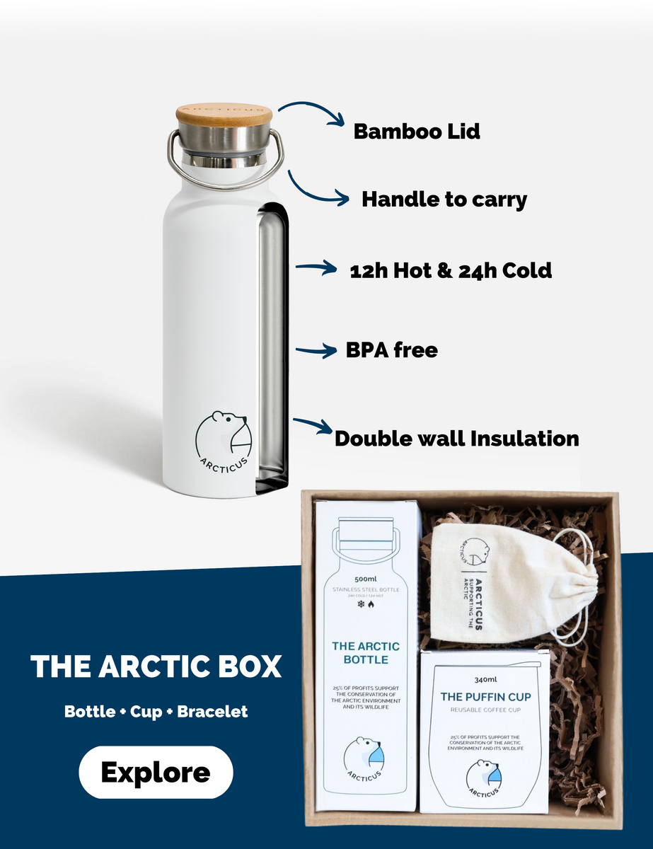 Reusable Arctic Bottle – Arcticus